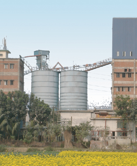 Home - Mir Akhter Hossain Limited